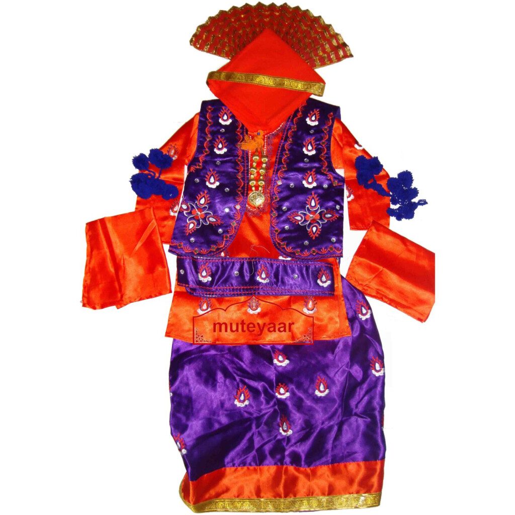 Purple Orange Bhangra dance Costume outfit dress- ready to wear ...